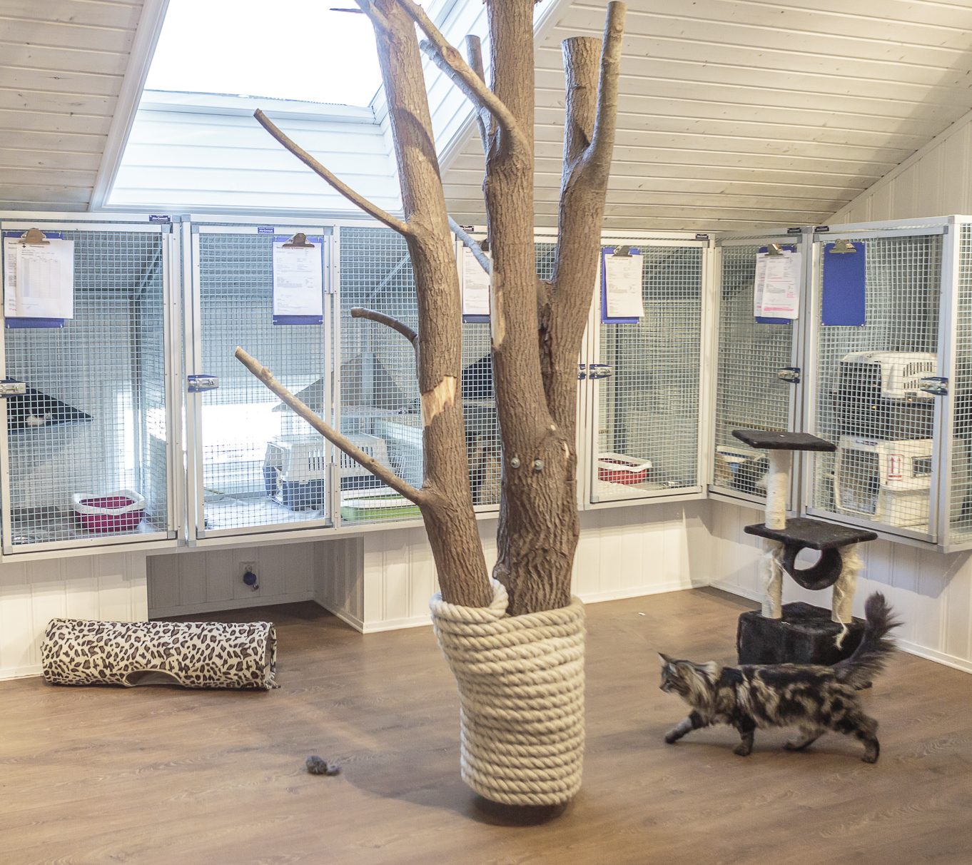 Om Standal - Standal