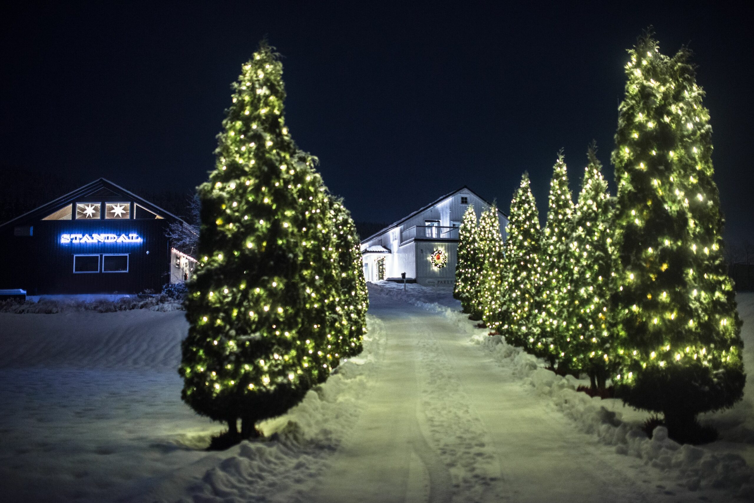 STANDAL SØKER AUTORISERT DYREPLEIER/ KENNELLEDER - Standal