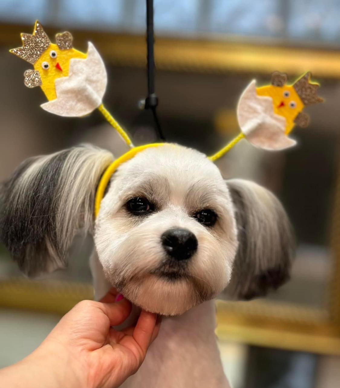 Påske og ferietid - Standal